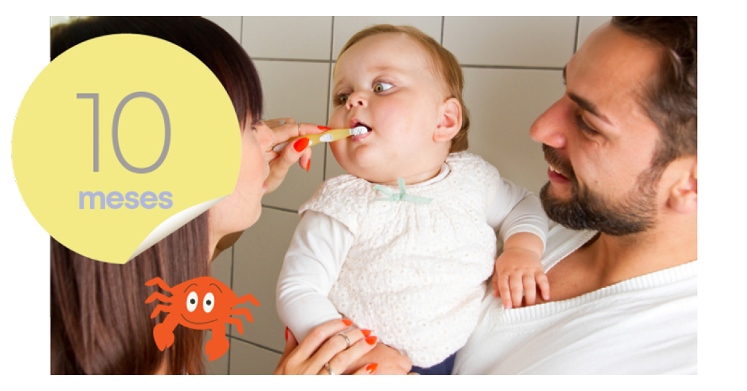 O desenvolvimento do bebê de 10 meses | Bebe.com.br