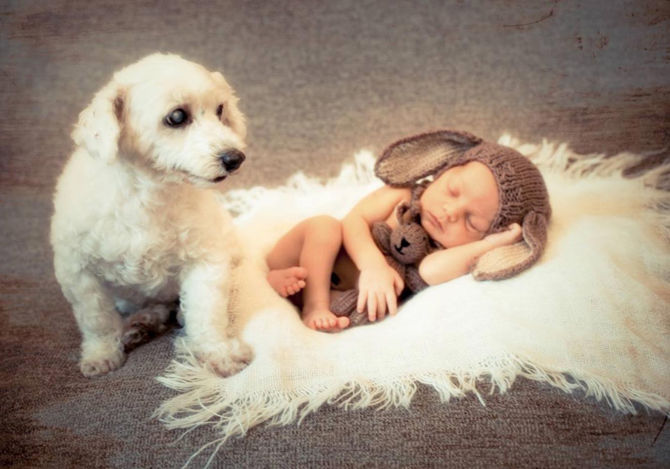 35 fotos de bebês e cachorros que vão derreter o seu coração | Bebe.com.br